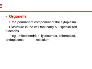Biology, cytoplasm | PPTX | Biological Sciences | Science