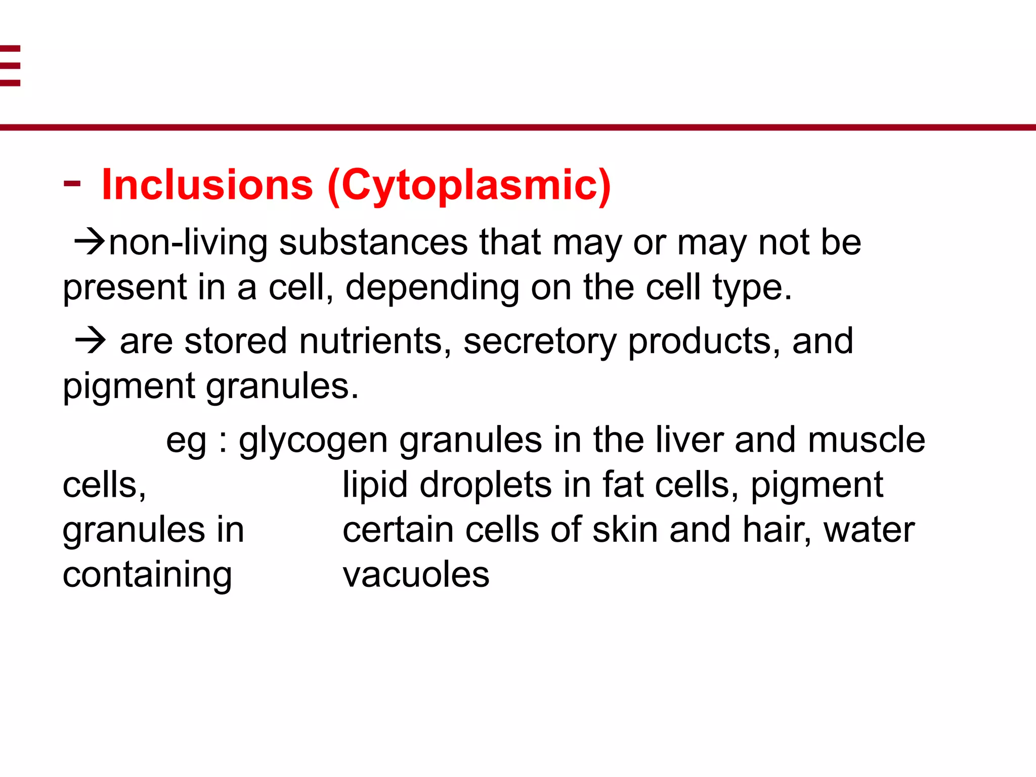 Biology, cytoplasm | PPTX