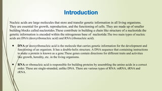 Biology - “Nucleic Acids: DNA and RNA”.pptx
