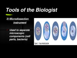 Biology Equipment | PDF