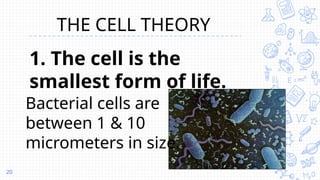 Biology science explain the role of hormones and | PPTX