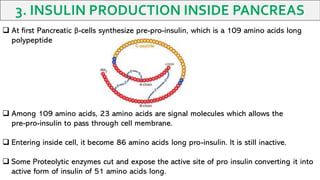 CLASS 12 BIOLOGY INVESTIGATORY PROJECT | PDF