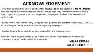 CLASS 12 BIOLOGY INVESTIGATORY PROJECT | PDF