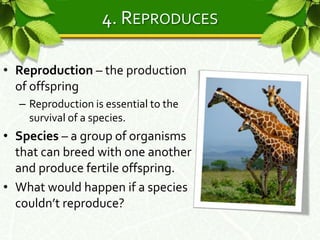 Biology - Chapter 1.1 | PPT