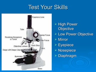 Biology microscopes-quiz | PPT