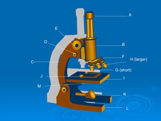Parts Of A Microscope Quiz