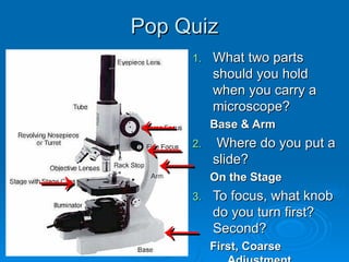 Parts Of A Microscope Quiz
