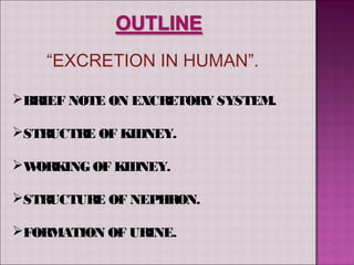 Biology new-B.Ed Digital Lesson Plan | PPT