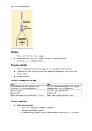 Biology notes-dna-and-protein-synthesis | PDF