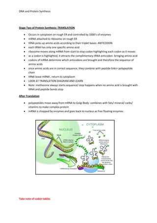 Protein Synthesis Diagram Worksheet