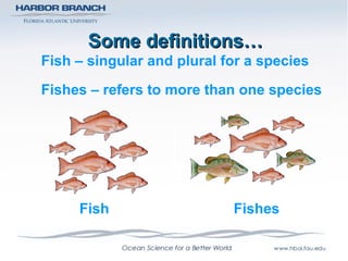 Msc zoology fourth semester Biology-of-Cultured-Fish.ppt