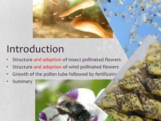 Biology pollinated | PPTX