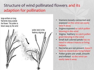 Biology pollinated | PPTX