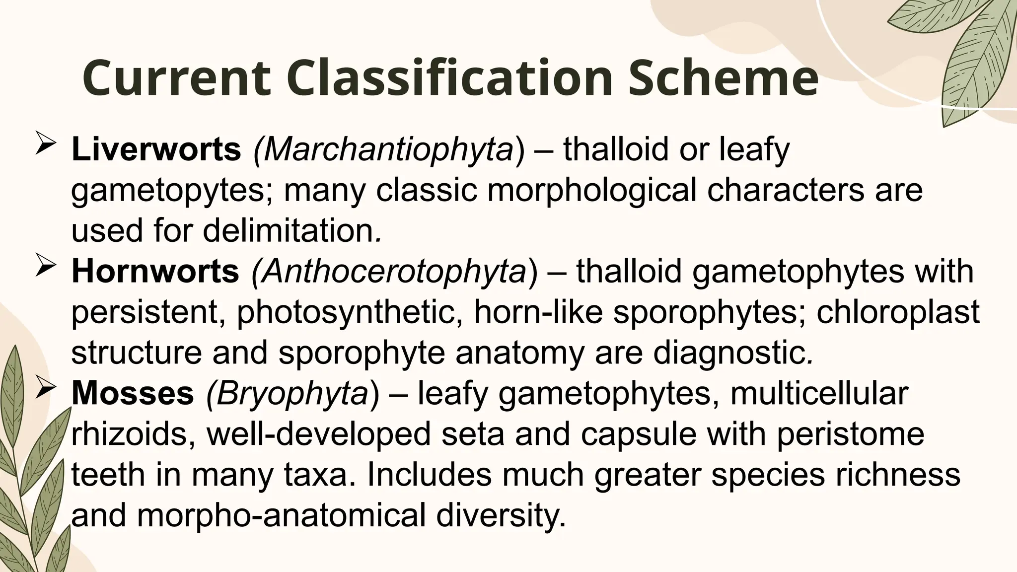 classification scheme of bryophytes.pptx