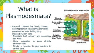 biology-subject-for-pre-k-microorganisms (1).pptx.pptx