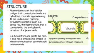 biology-subject-for-pre-k-microorganisms (1).pptx.pptx