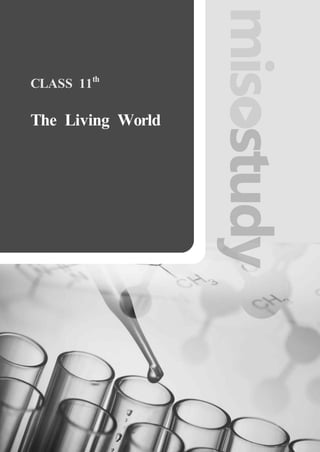 The Living World Biology Class notes for NEET preparation | PDF