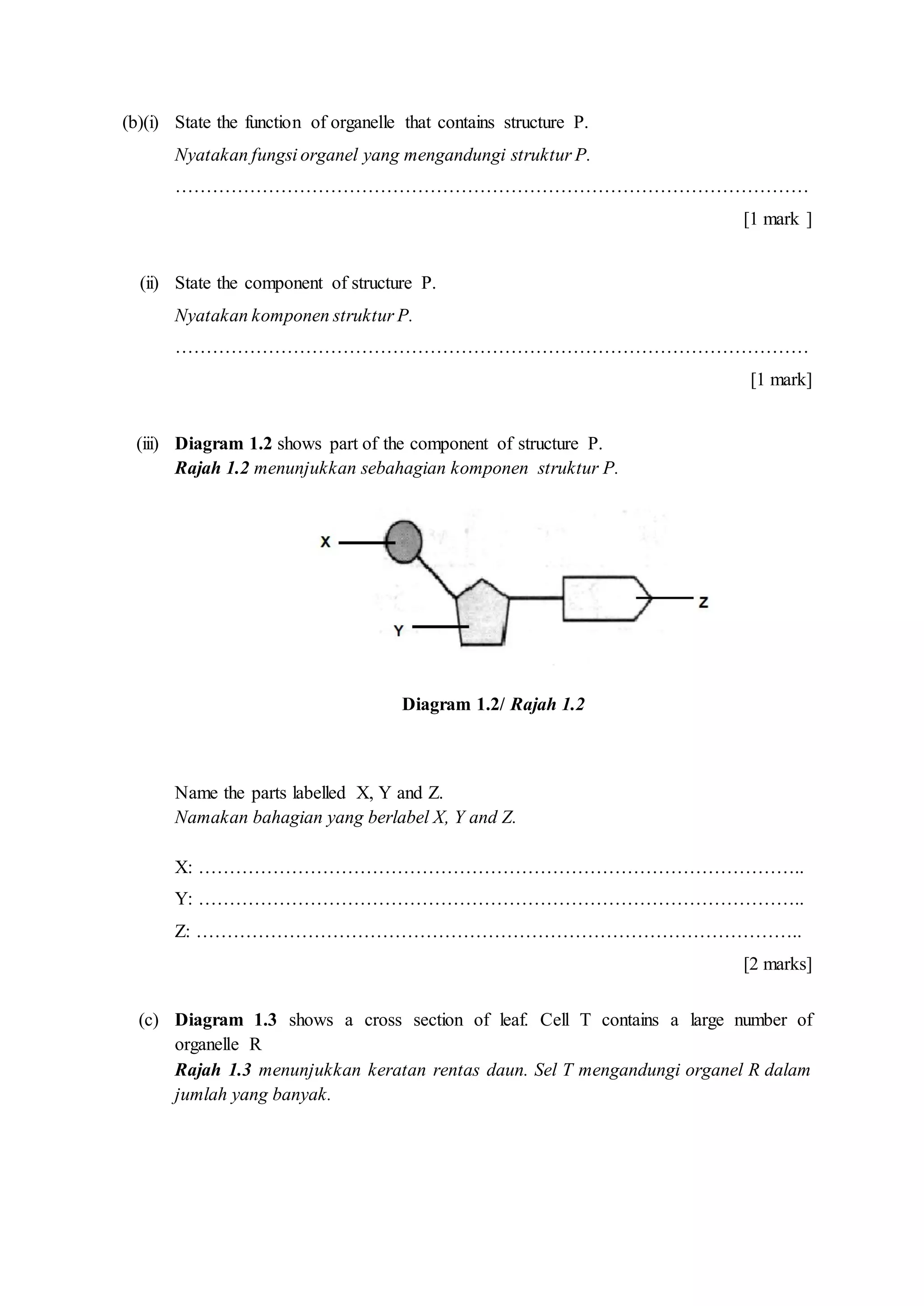 Biology topical-exercise-form-4-chapter-2 | PDF