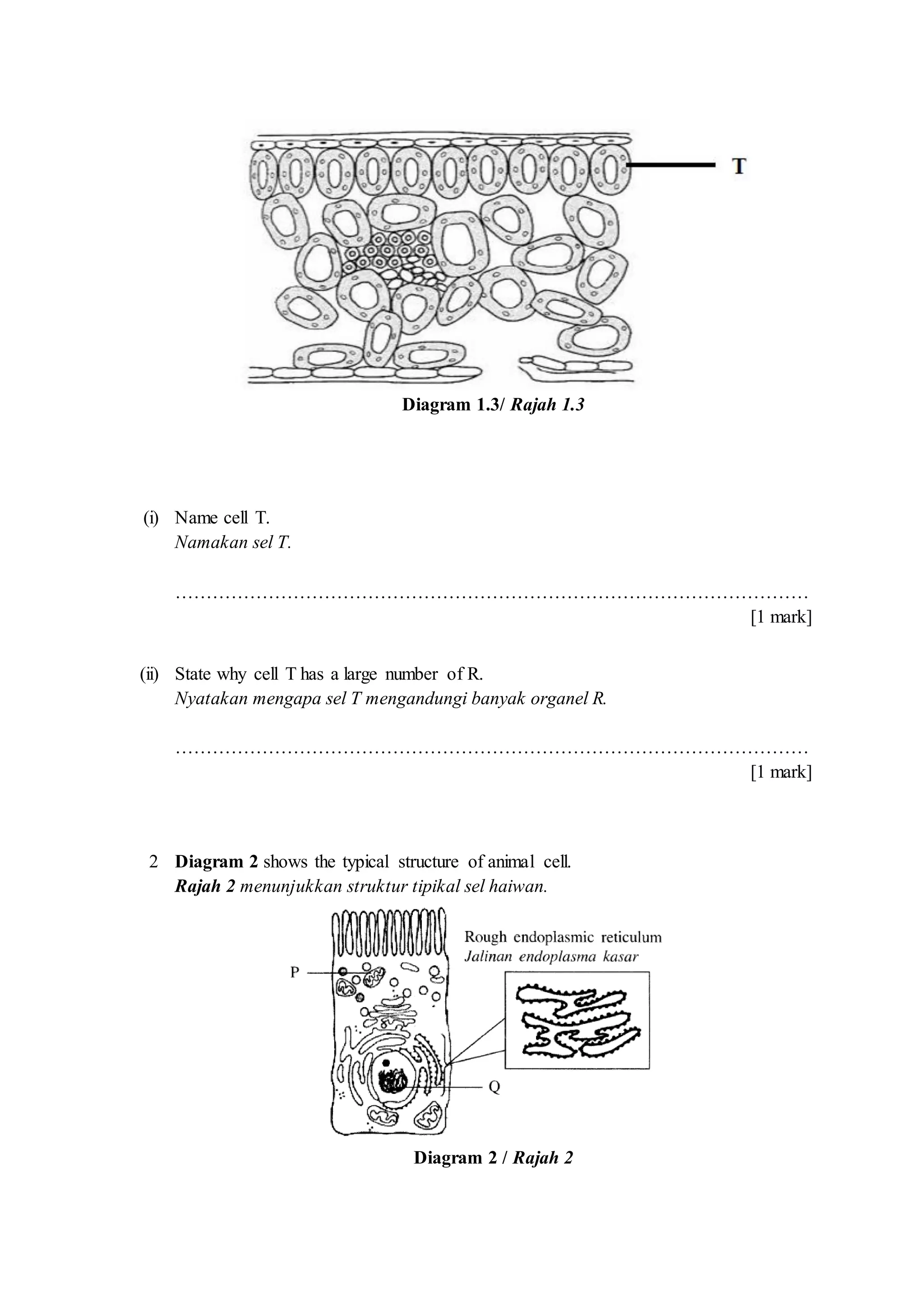 Biology topical-exercise-form-4-chapter-2 | PDF