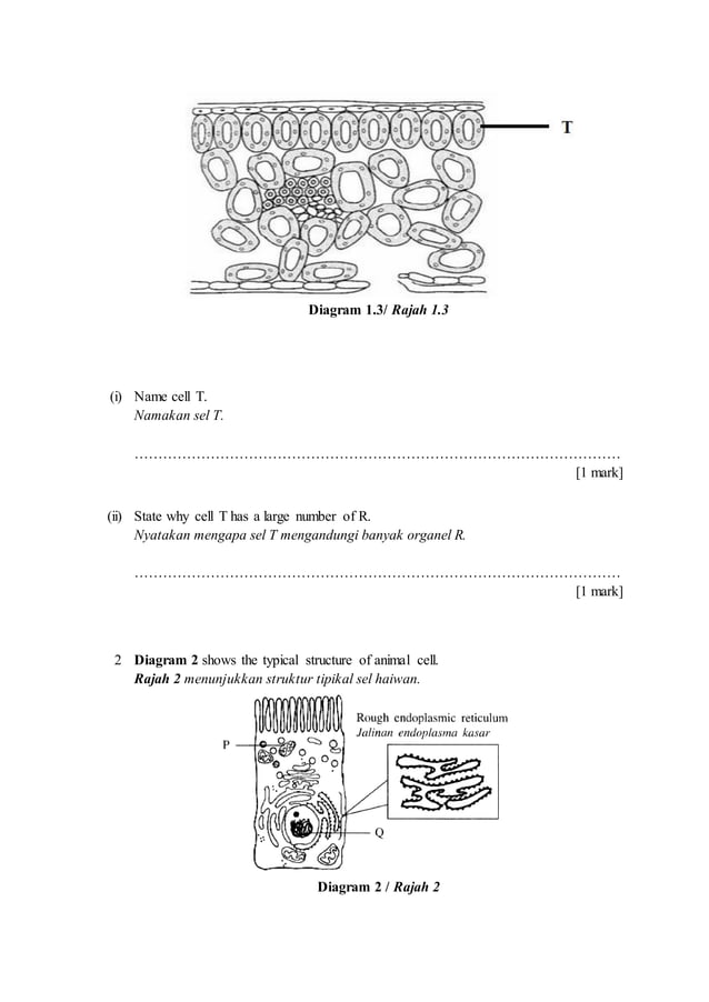 Biology topical-exercise-form-4-chapter-2 | PDF