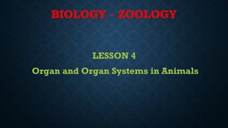 BIOLOGY - ZOOLOGY.pptx Class 11 Organ and organ systems in animals | PPTX