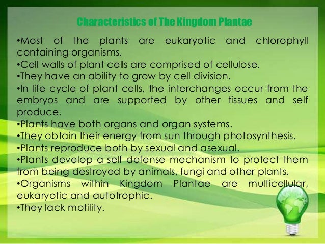 Plantae Kingdom Characteristics