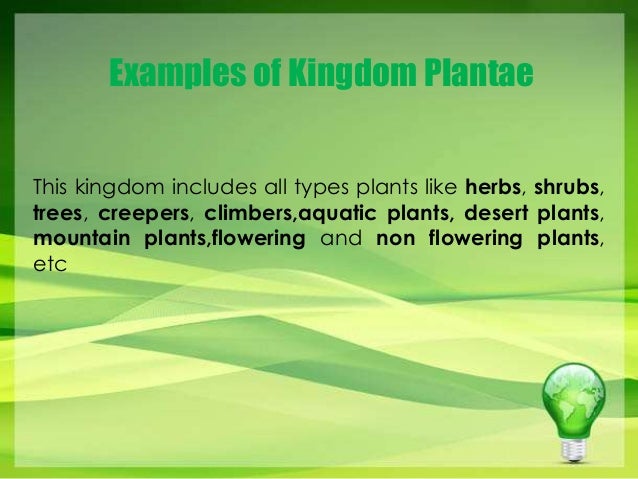Plantae Cell Examples