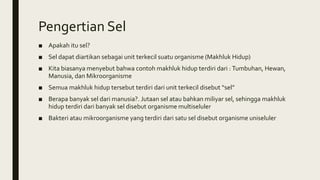 Biology struktur sel | PPT