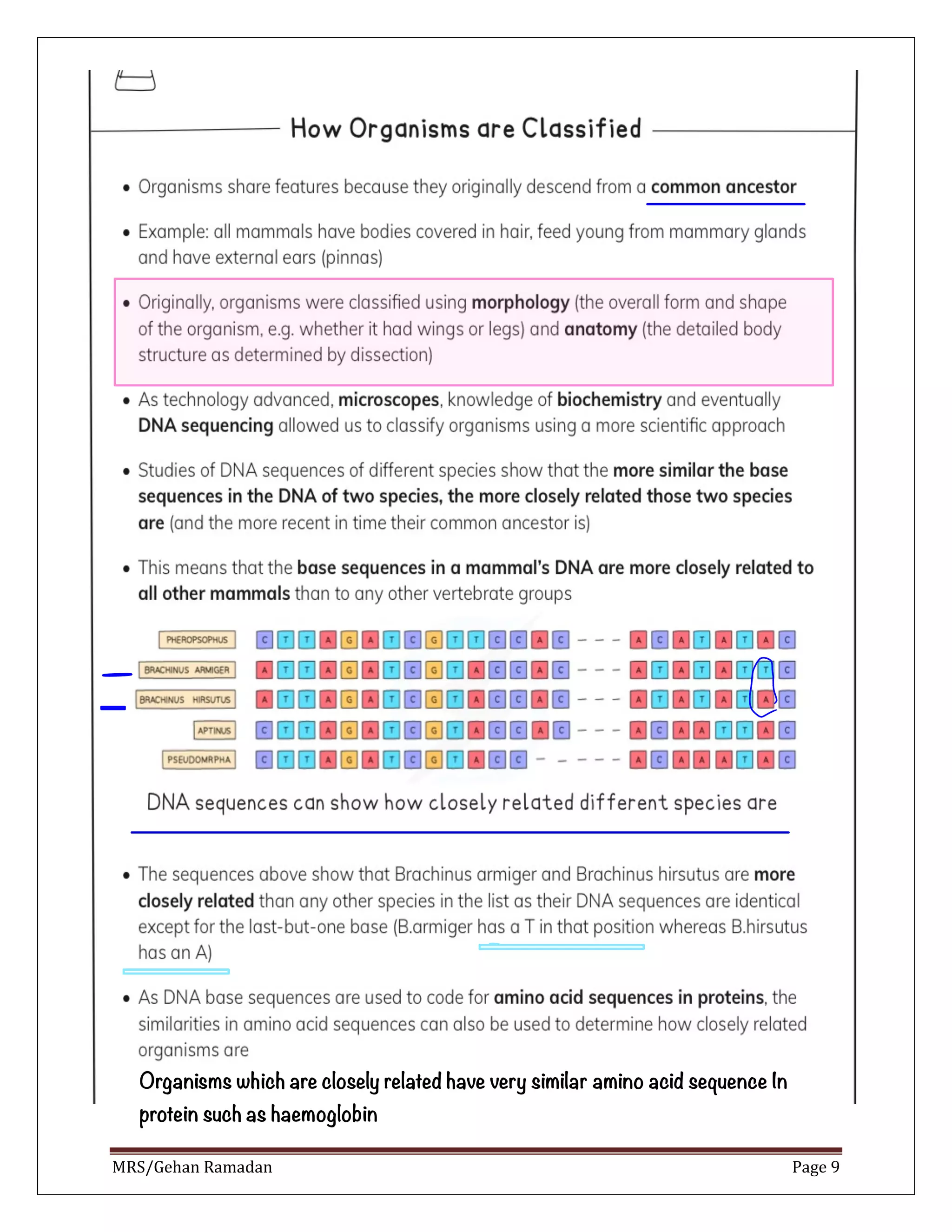 biology 1. Classification Of Living Organisms notes (Dr. jehan Ramadan ...