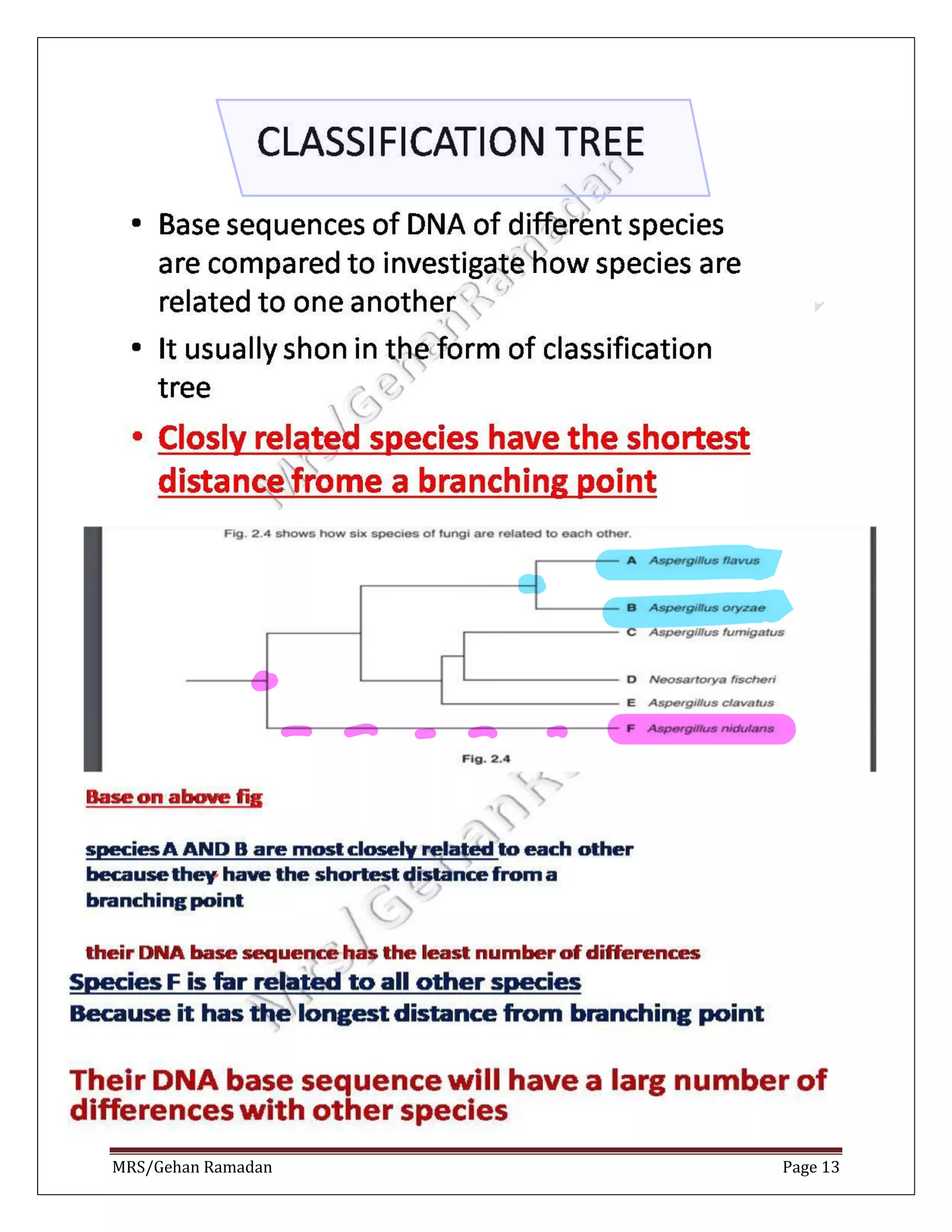 biology 1. Classification Of Living Organisms notes (Dr. jehan Ramadan ...
