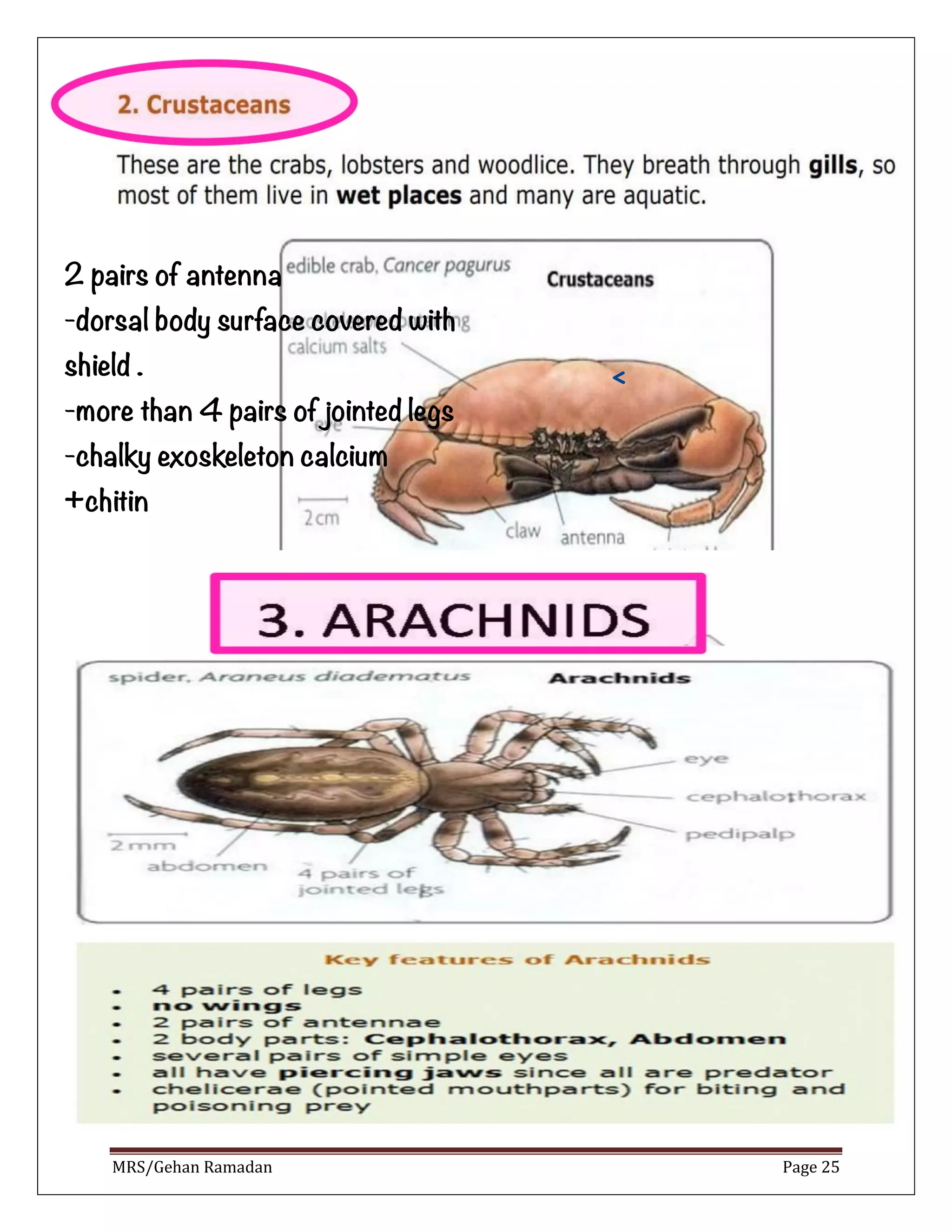 biology 1. Classification Of Living Organisms notes (Dr. jehan Ramadan ...