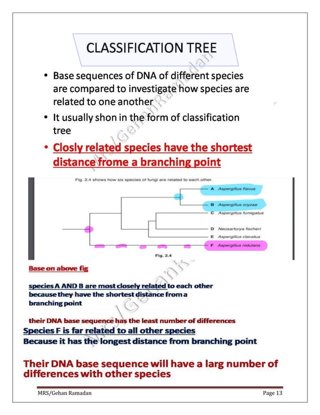 biology 1. Classification Of Living Organisms notes (Dr. jehan Ramadan ...