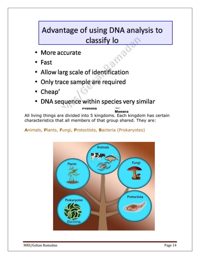 biology 1. Classification Of Living Organisms notes (Dr. jehan Ramadan ...