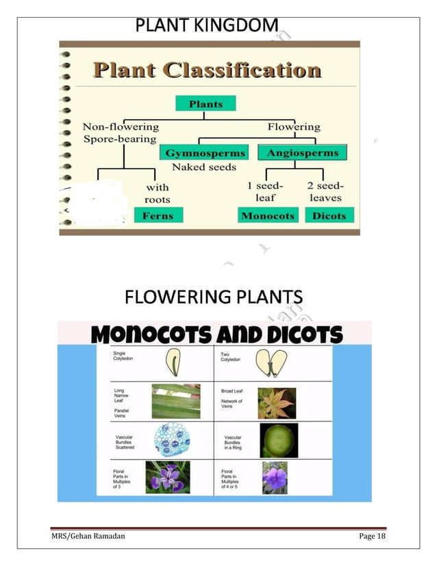 biology 1. Classification Of Living Organisms notes (Dr. jehan Ramadan ...