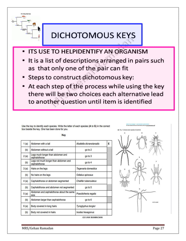biology 1. Classification Of Living Organisms notes (Dr. jehan Ramadan ...