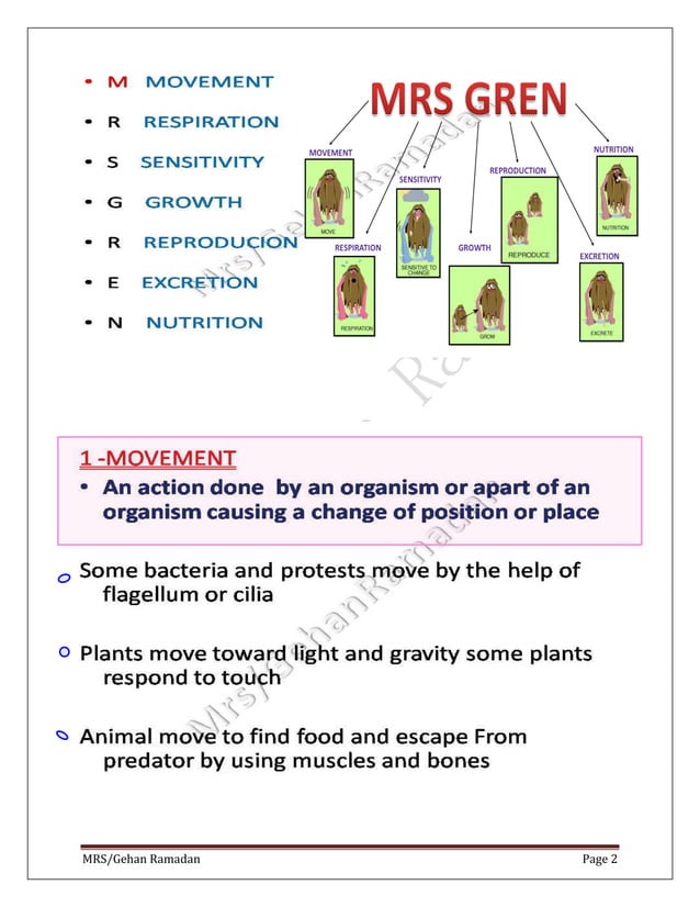 biology 1. Classification Of Living Organisms notes (Dr. jehan Ramadan ...