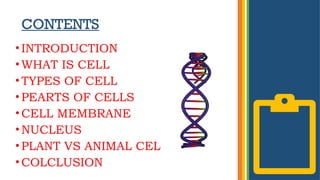 FUNDAMENTAL UNIT OF LIFE BIOLOGY PPT 9TH | PPTX