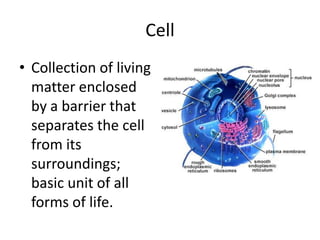 Biology 1.3 | PPTX