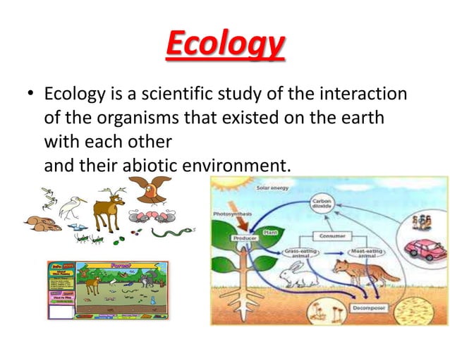 Biology 1 mohamed sammara | PPTX
