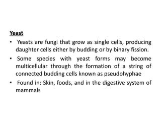 Introduction to Medical Mycology and Virology | PPTX