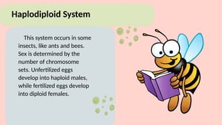 biology 101 in science research...1).pptx