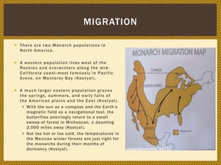 Biology 101 power point presentation on monarch butterflies | PPTX