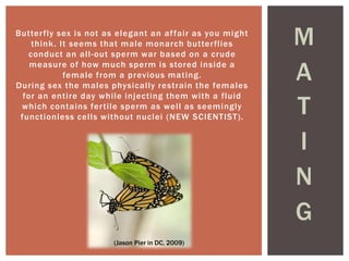 Biology 101 power point presentation on monarch butterflies | PPTX