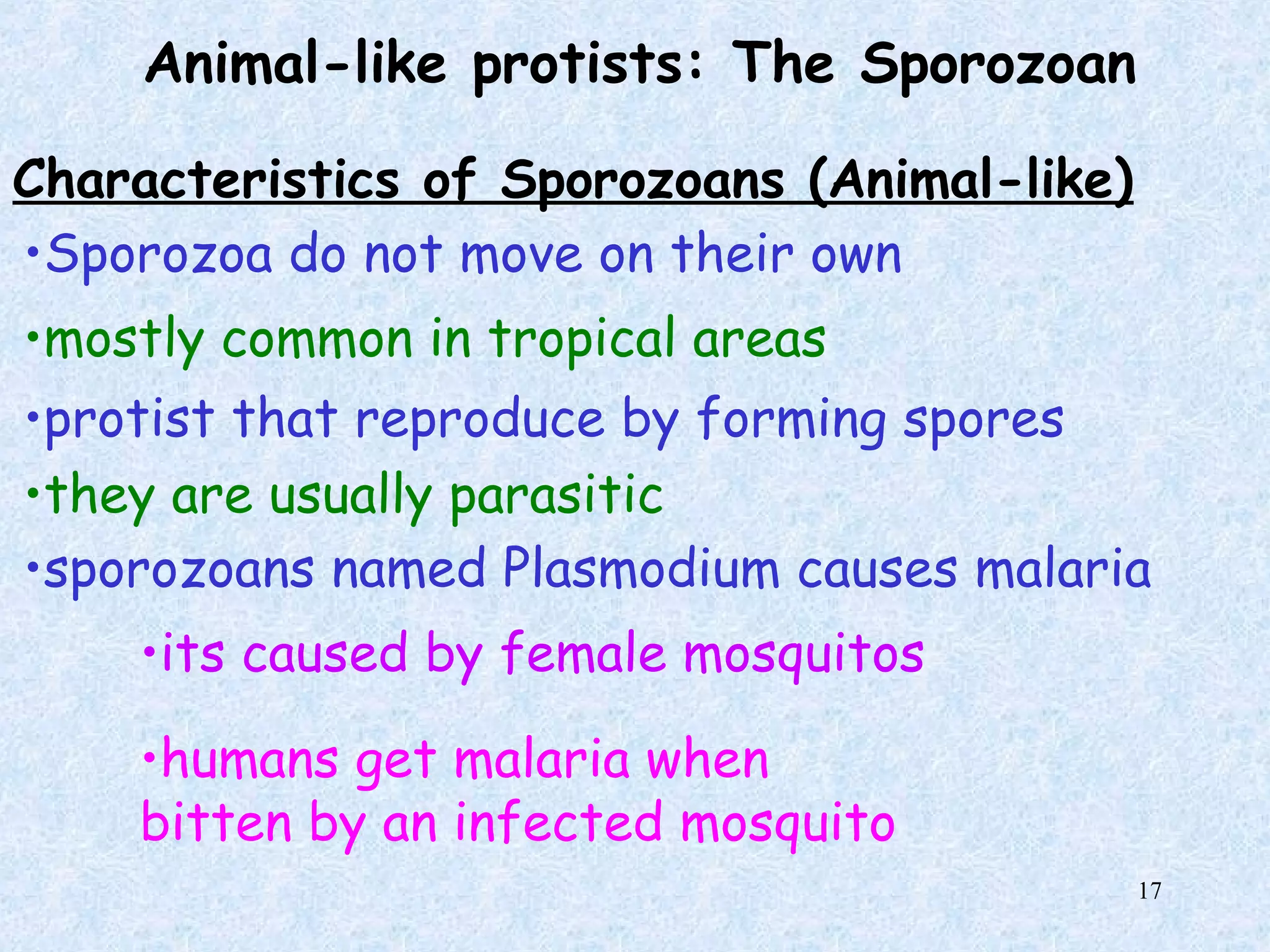 Kingdom Protista | PPT