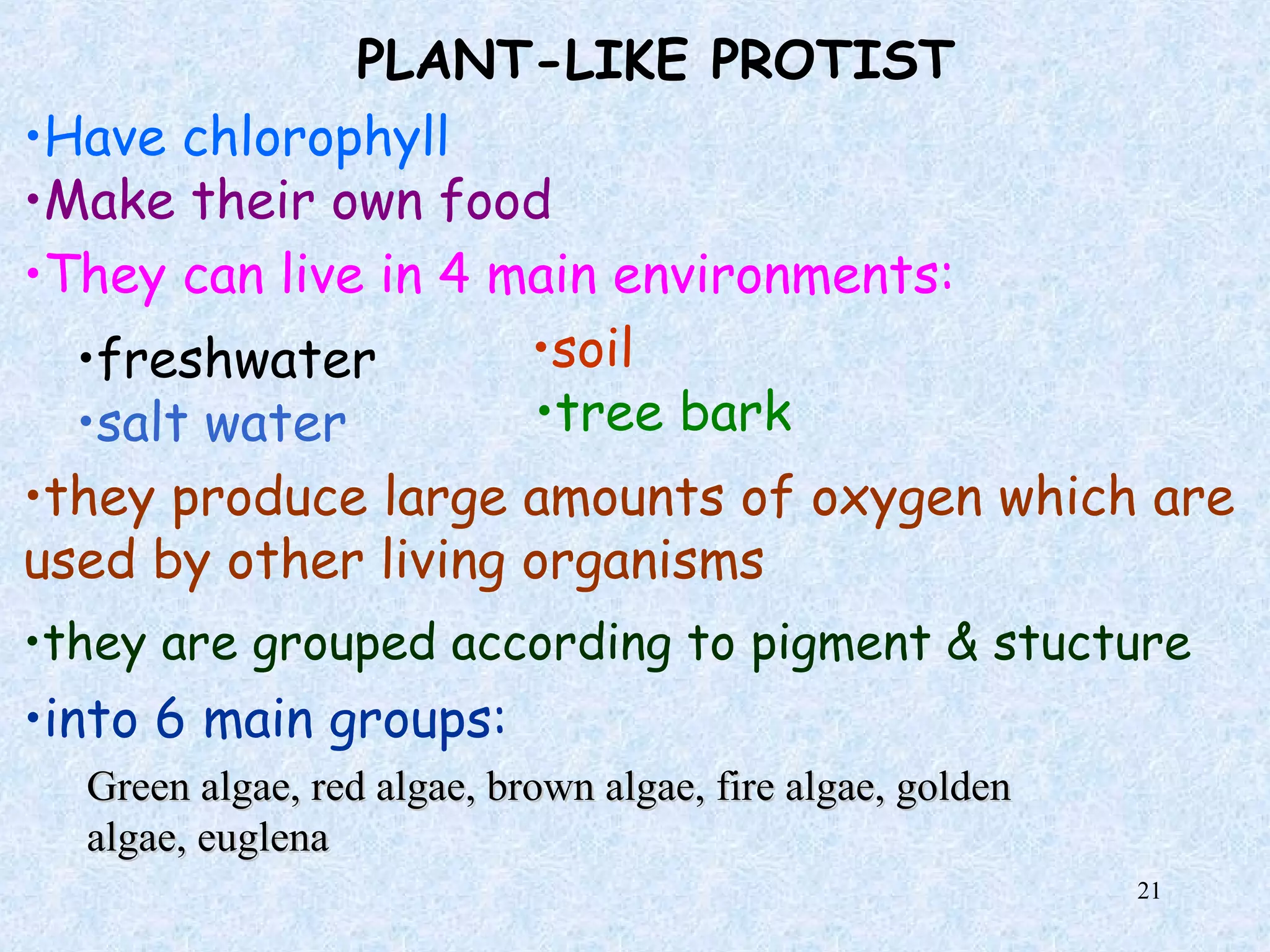 Kingdom Protista | PPT