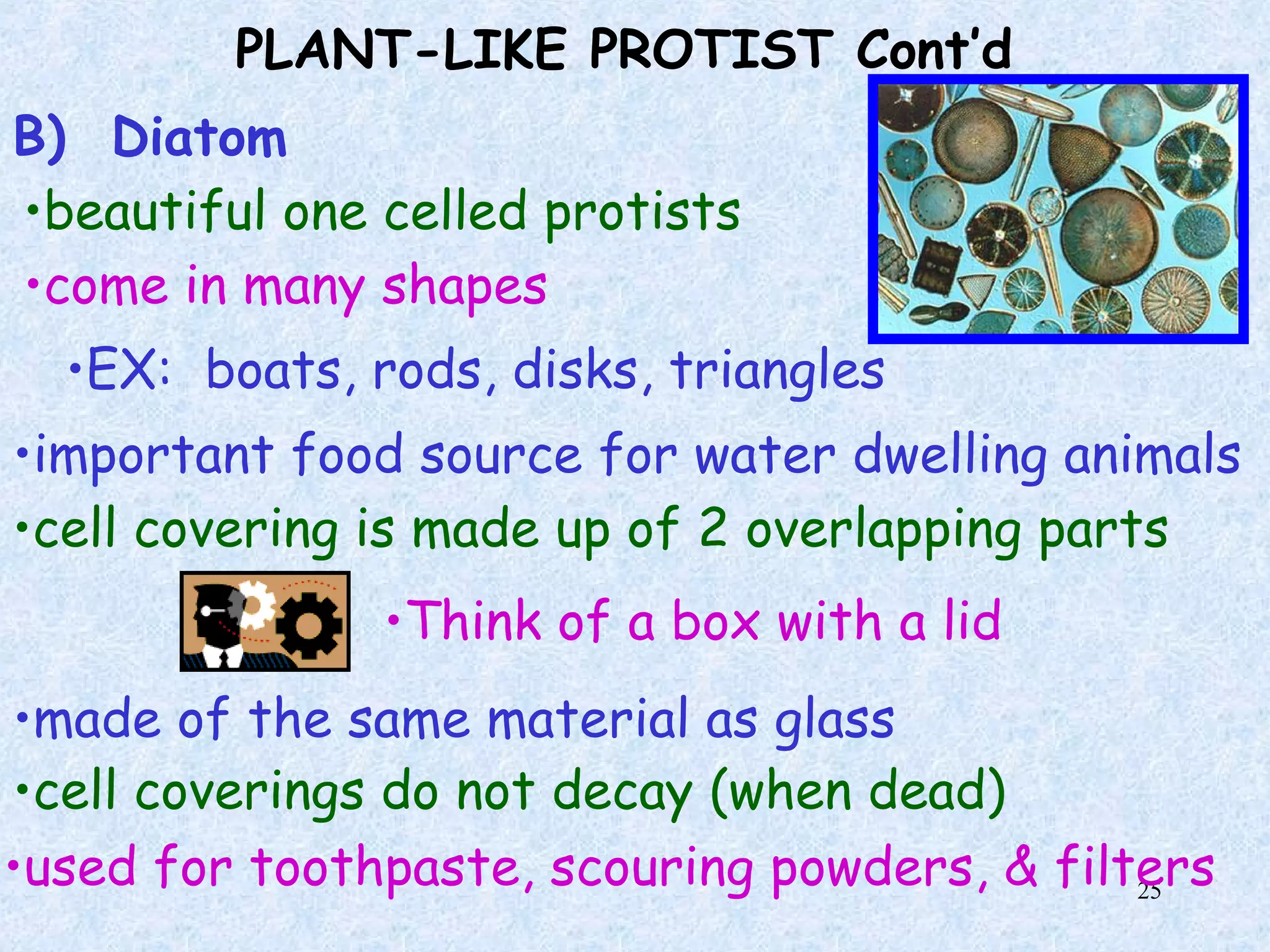 Kingdom Protista | PPT