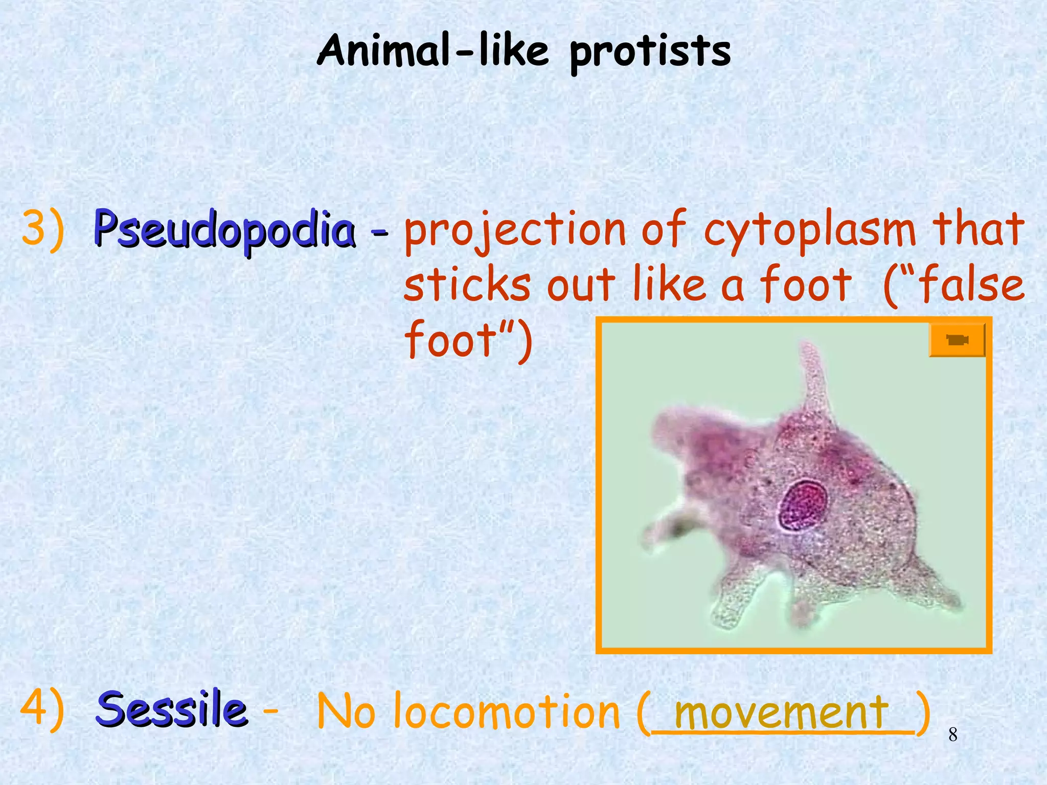 Kingdom Protista | PPT