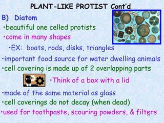 Kingdom Protista | PPT