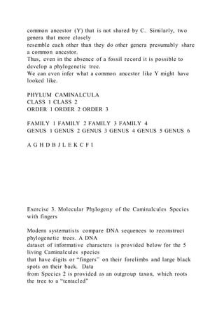 Biology 1108L – Laboratory Exercises P | DOCX