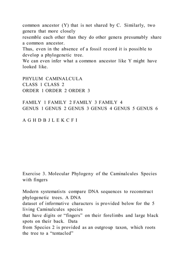 Biology 1108L – Laboratory Exercises P | DOCX | Biological Sciences ...